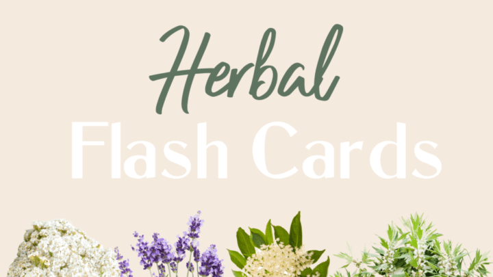 11 Herbal Homeschool Curriculum Resources