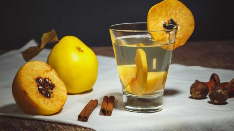 16 Top Instant Pot Drink Recipes