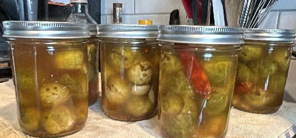 Atomic Frog Balls